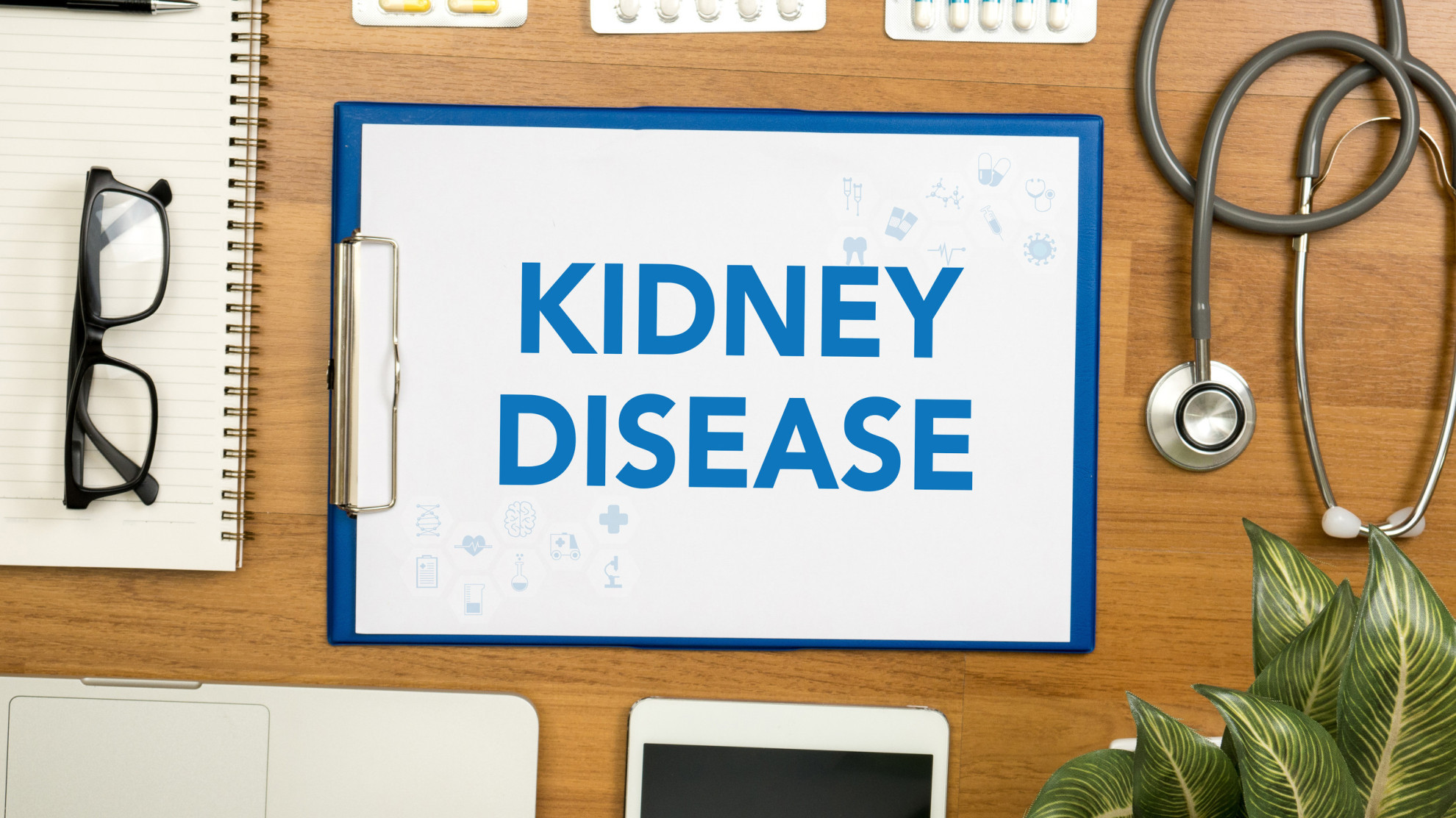 ASN-2025: иммуносупрессия при пересадке почек и снижения альбуминурии и ...